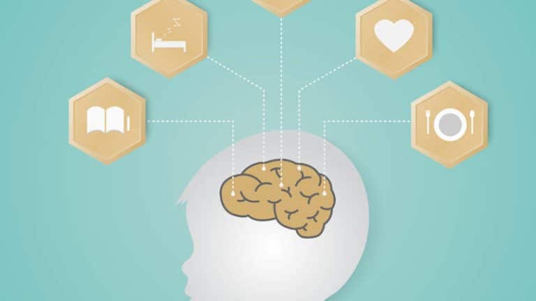 How does nutrition affect the developing brain? | ZERO TO THREE How does nutrition affect the developing brain? | ZERO TO THREE