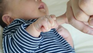 How developed is the brain by birth? | ZERO TO THREE