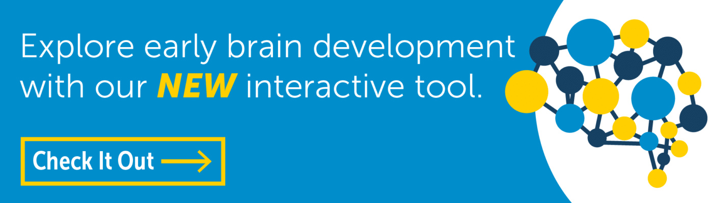 What are the most important changes in the brain after birth? | ZERO TO ...