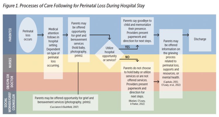 PERSPECTIVES: Reflections From the Field: The Role of Occupational ...