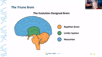 Understanding Brain Development in Babies & Toddlers