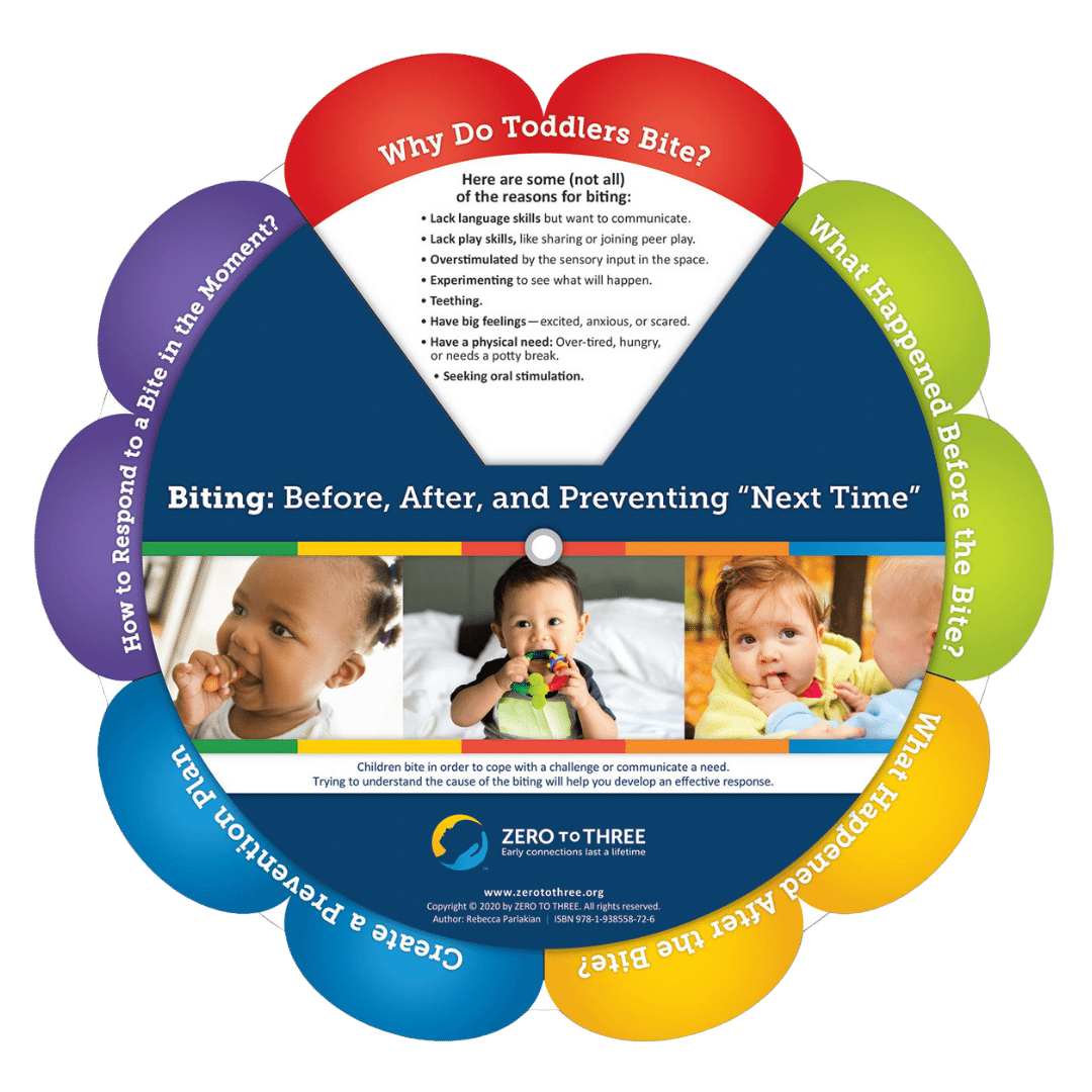 Why Do Toddlers Bite? (Educator's Version) | ZERO TO THREE