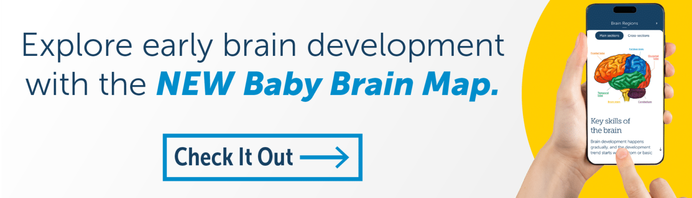 How does nutrition affect the developing brain? | ZERO TO THREE How does nutrition affect the developing brain? | ZERO TO THREE