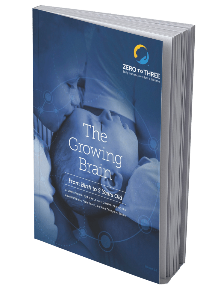 The Growing Brain | Birth to Age 5 | Zero to Three